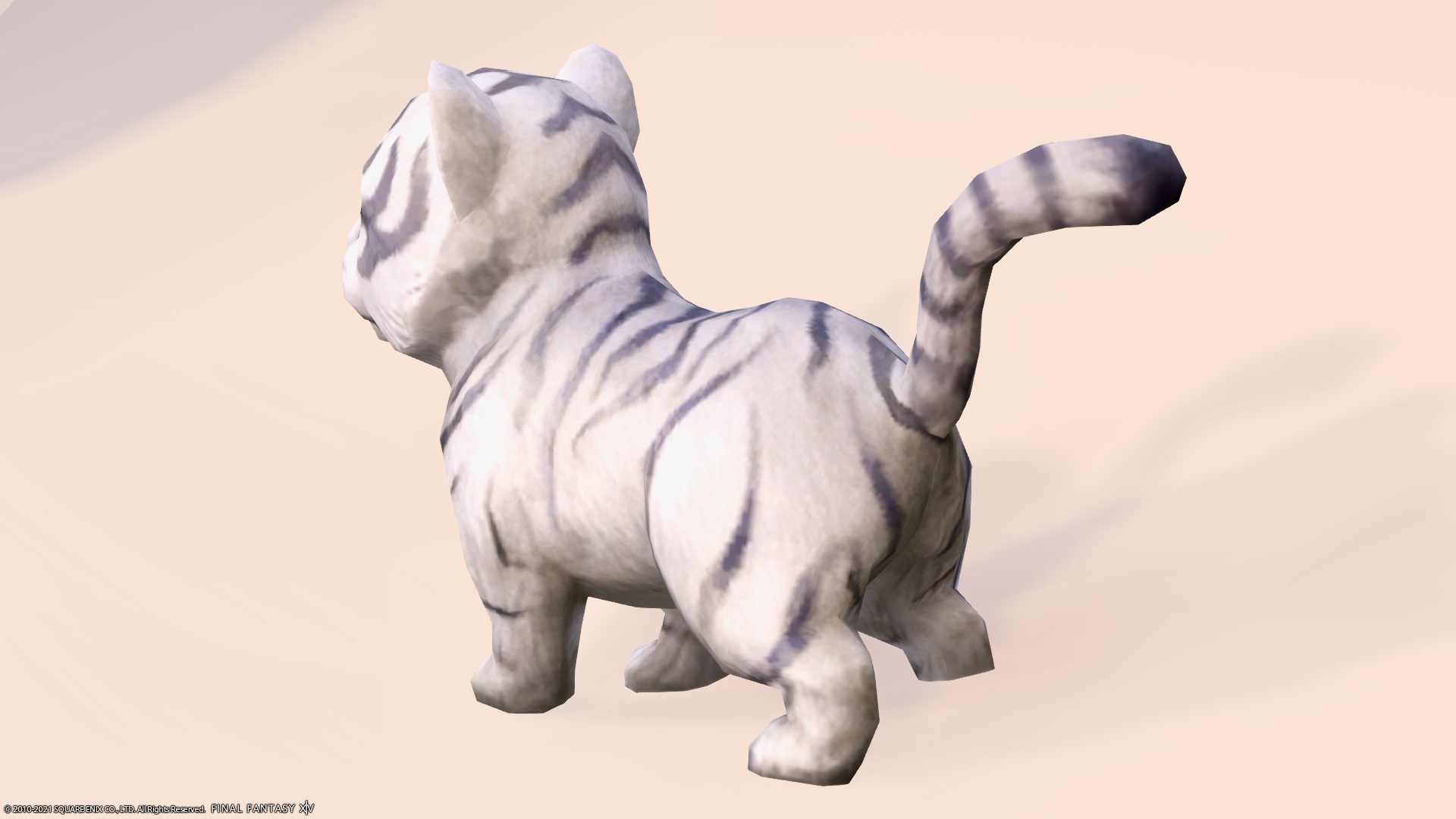 Baby white tiger? A very cute minion of a small tiger “Byakko Cub ...