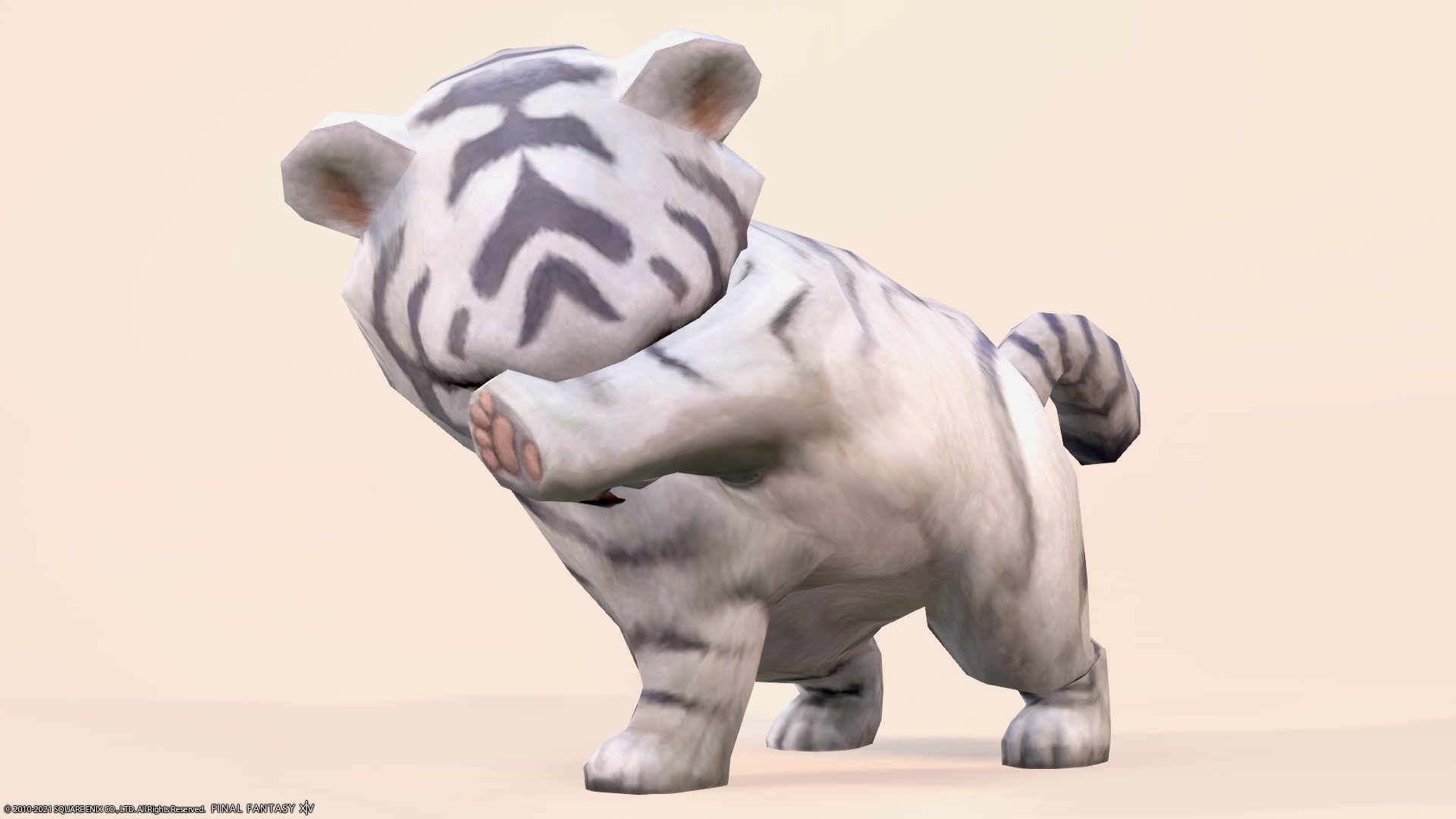 Baby white tiger? A very cute minion of a small tiger “Byakko Cub ...