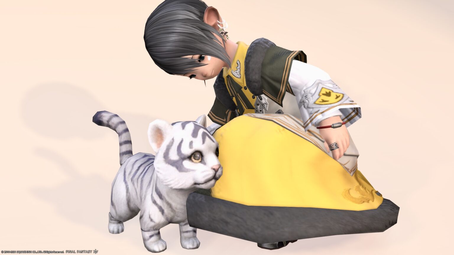 Baby white tiger? A very cute minion of a small tiger “Byakko Cub ...