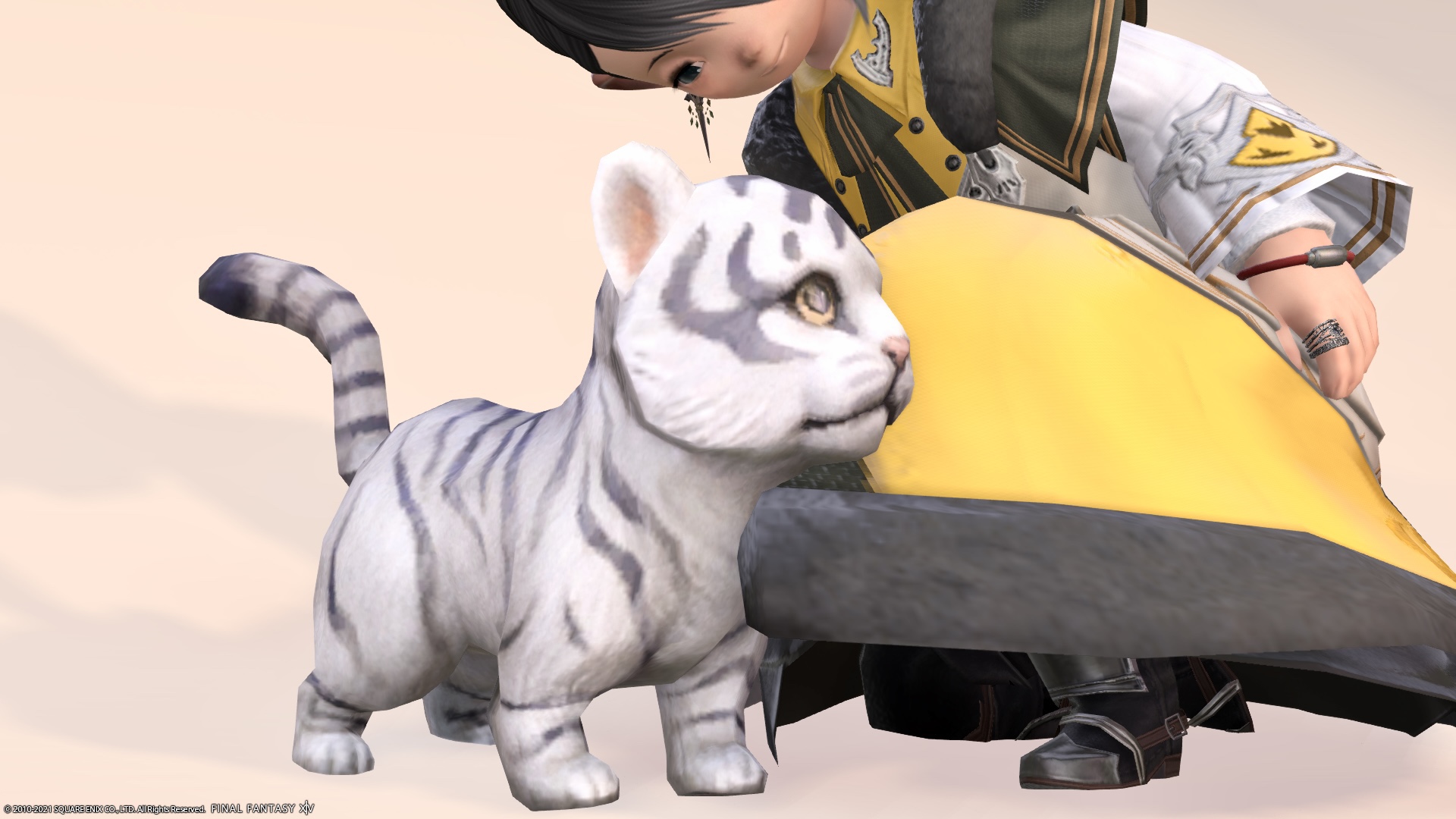 Baby white tiger? A very cute minion of a small tiger “Byakko Cub ...