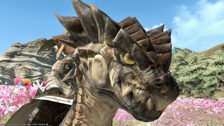 Amalj’aa tribe quests / Dragon mount “Cavalry Drake” running on the ...