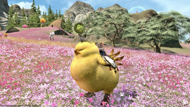 Cute fat chocobo wearing a crown / Player Commendation 3000 reward ...