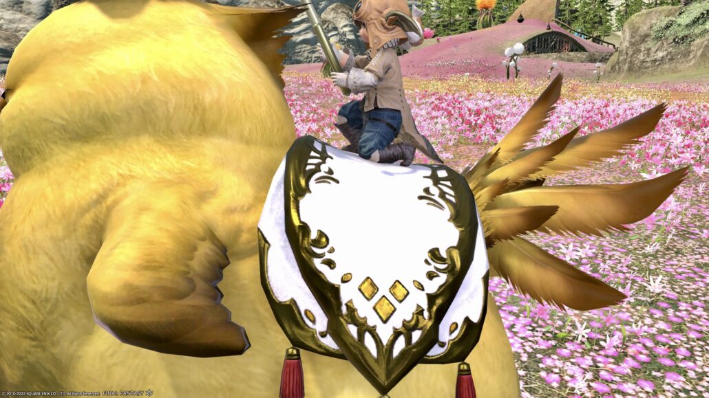 Cute fat chocobo wearing a crown / Player Commendation 3000 reward ...