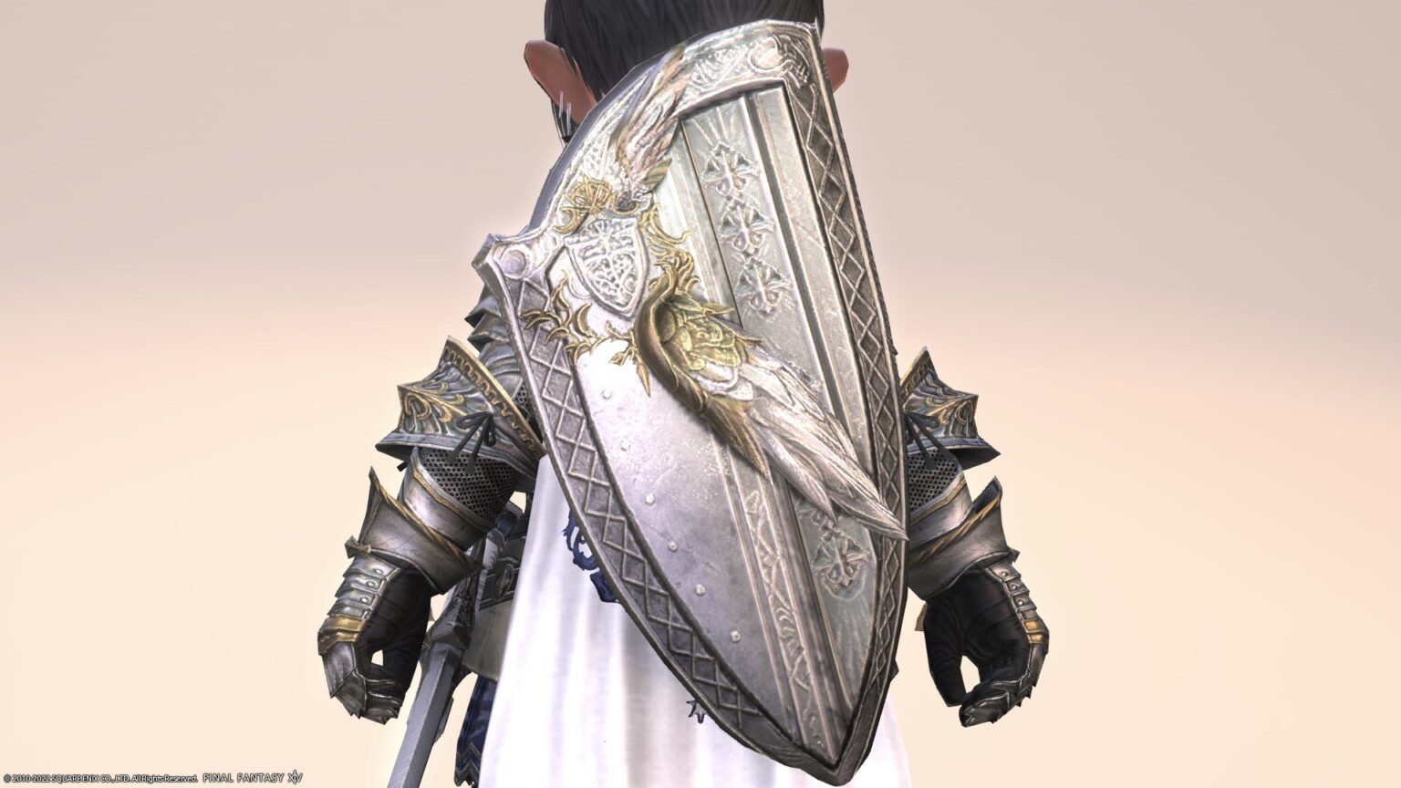 Paladin’s AF5 weapon “Lightbringer & Hero’s Shield”, which bears the ...
