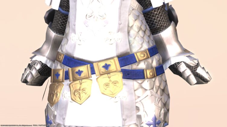 Paladin’s AF1 equipment / Ul’dah the Sultansworn costume “Gallant ...