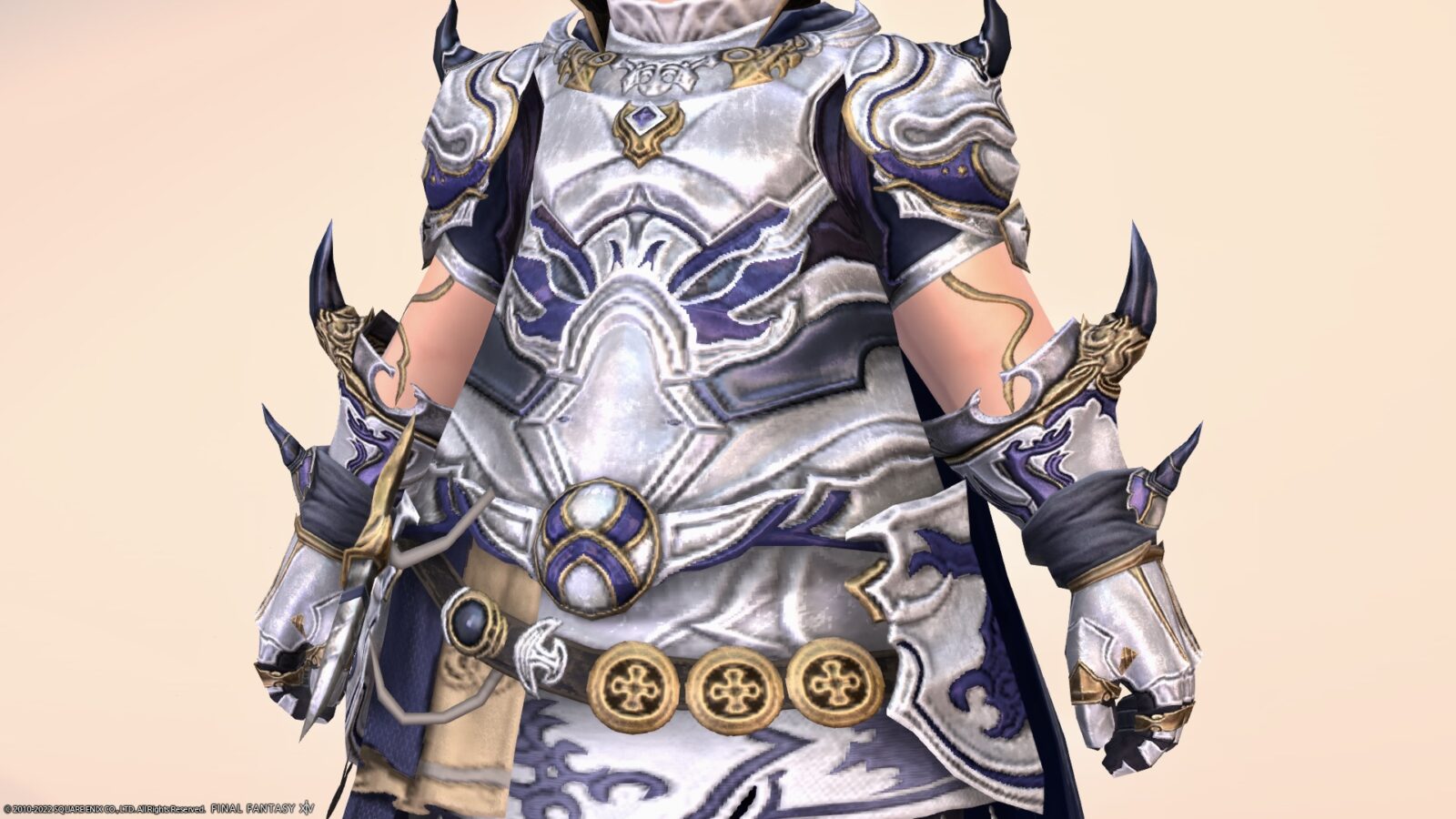 Cosplay of Cecil (Paladin) of FF4! “Moonward of Fending” equipment ...