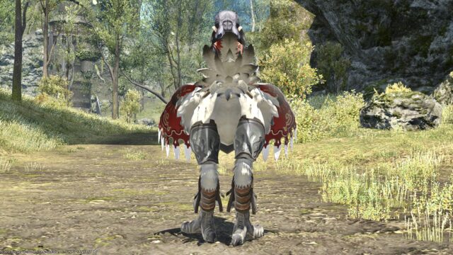 The Maelstrom’s Storm Sergeant Second Class chocobo armor, Limsa’s red ...
