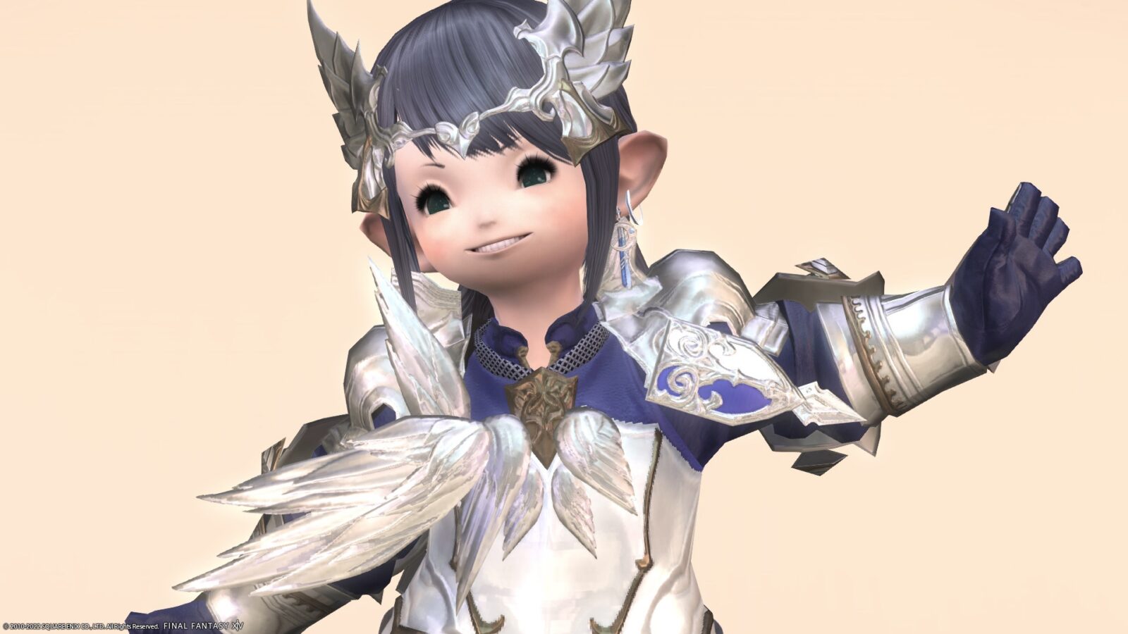 Chocobo armor on the Bozjan Zadnor, cute military uniform chocobo ...