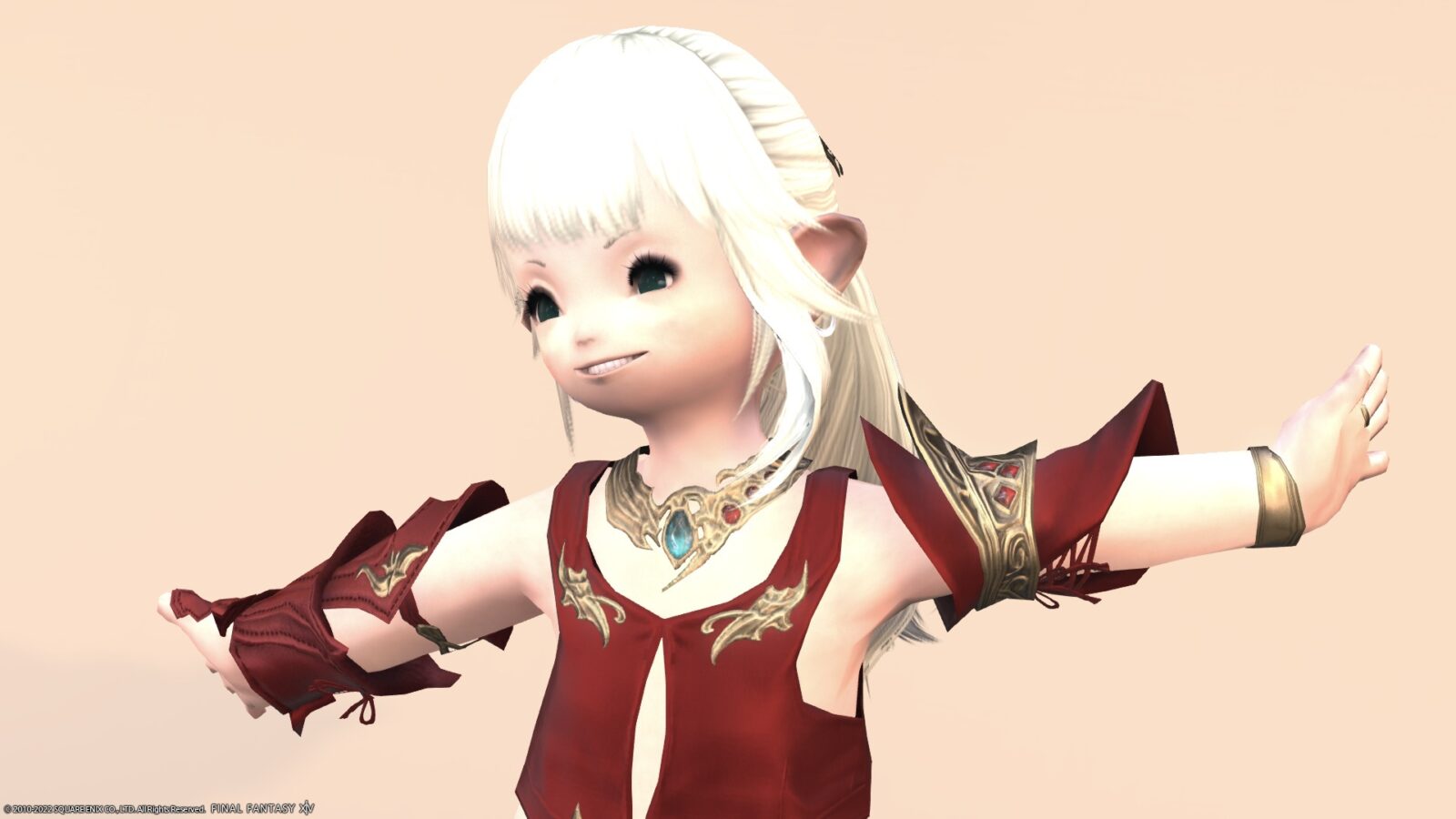 Chocobo armor on the Bozjan Zadnor, cute military uniform chocobo ...