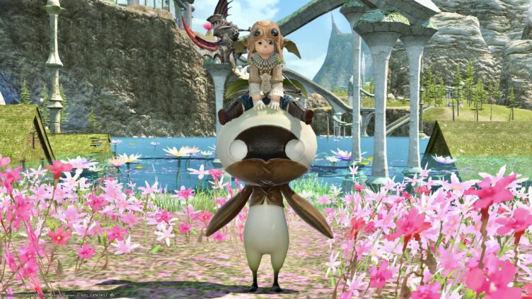 Mandragora Mount of The island sanctuary / “Island Mandragora” from an ...