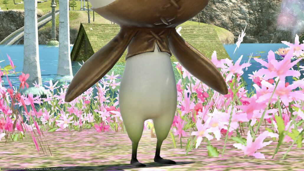 Mandragora Mount of The island sanctuary / “Island Mandragora” from an ...