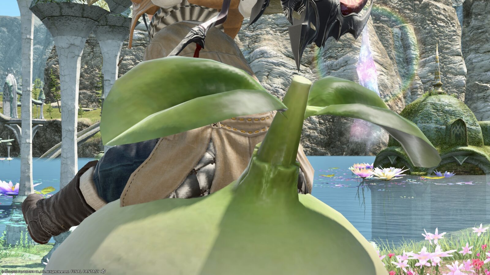 Mandragora Mount of The island sanctuary / “Island Mandragora” from an ...