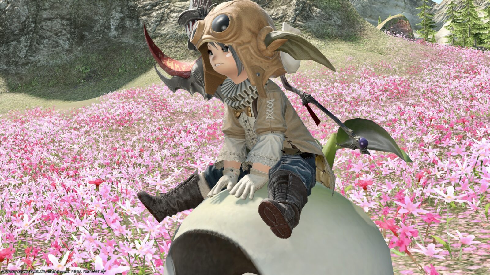 Mandragora Mount of The island sanctuary / “Island Mandragora” from an ...