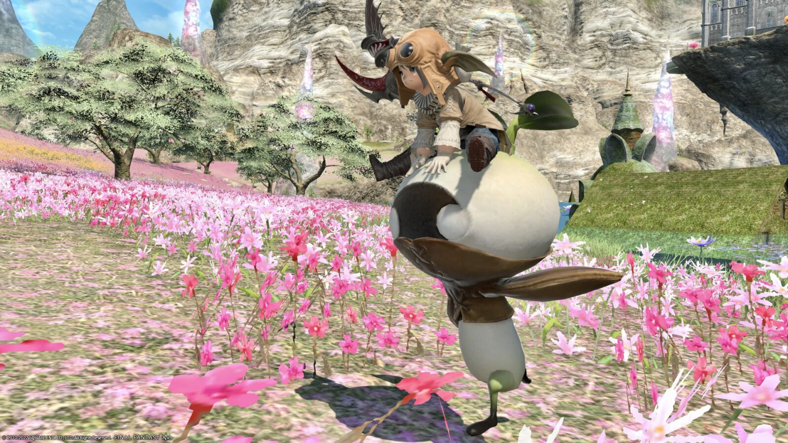 Mandragora Mount of The island sanctuary / “Island Mandragora” from an ...