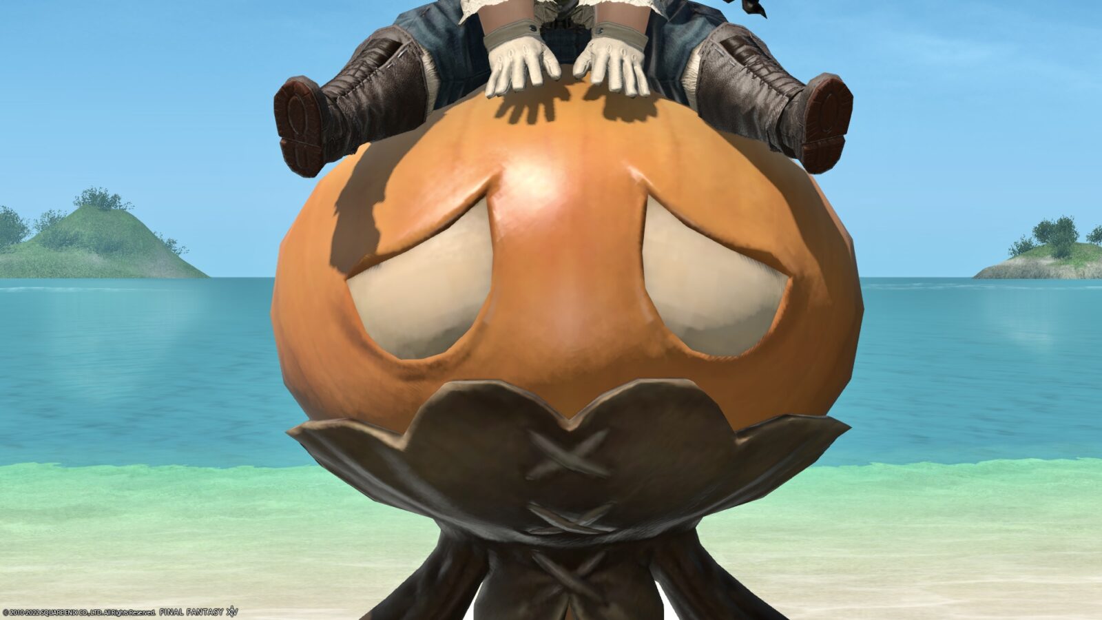 The island sanctuary’s troubled face onion mount “Island Onion Prince ...