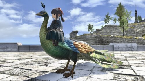 A beautiful peacock mount that spreads its seven-colored feathers ...