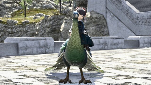 A beautiful peacock mount that spreads its seven-colored feathers ...
