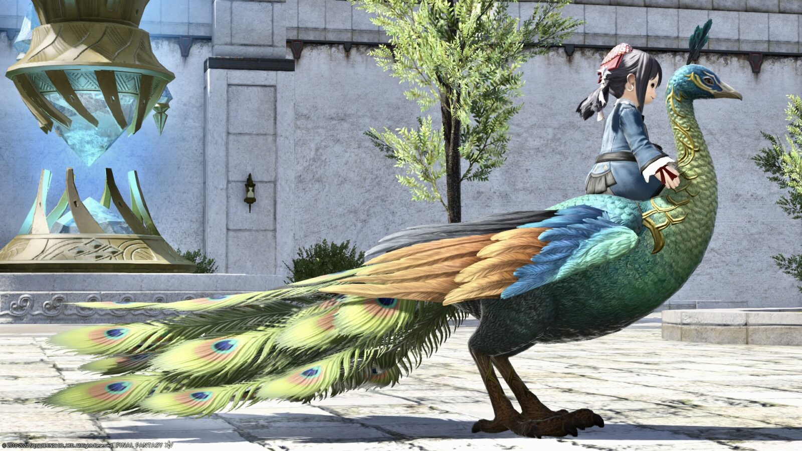 A beautiful peacock mount that spreads its seven-colored feathers ...