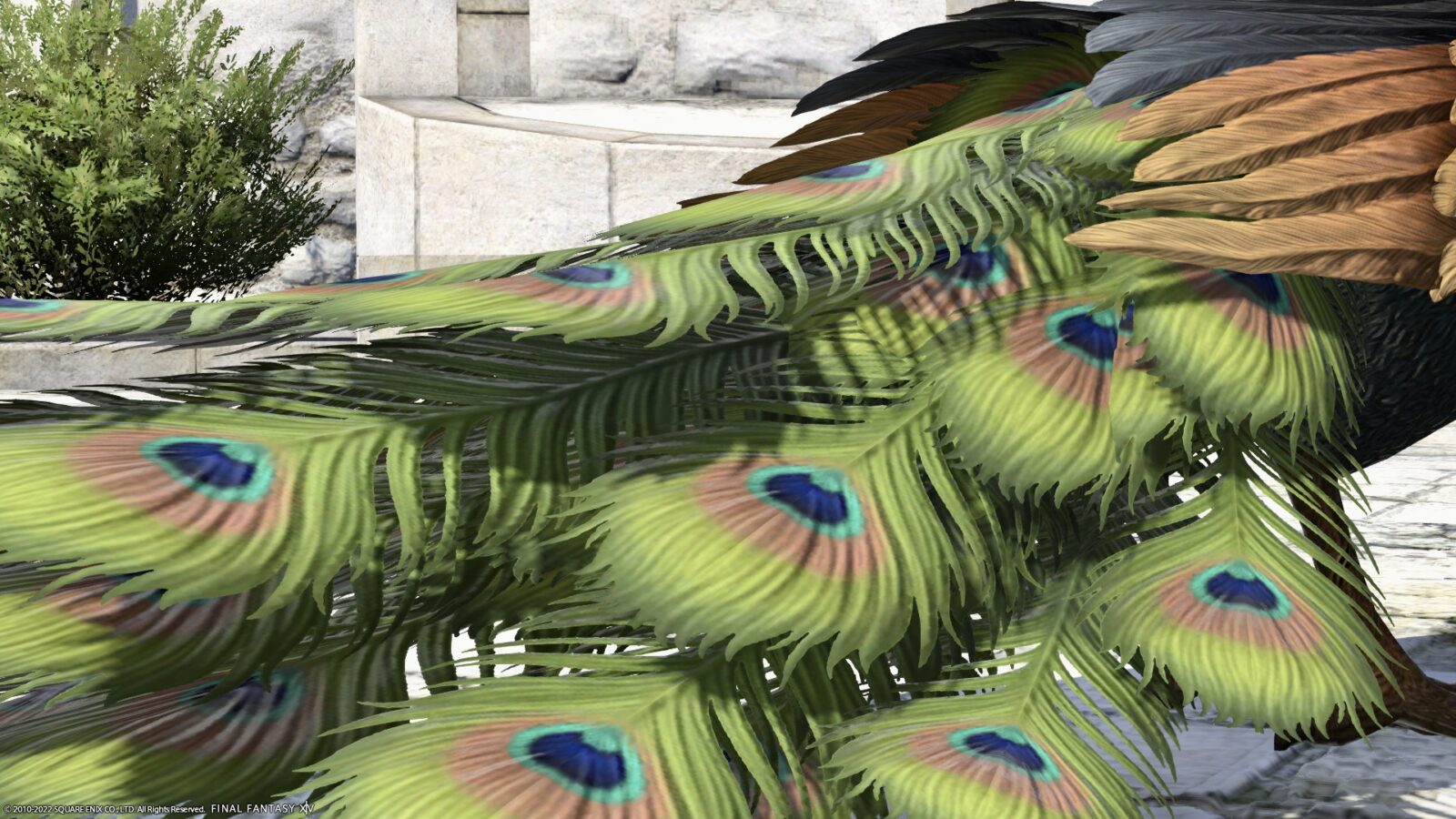 A beautiful peacock mount that spreads its seven-colored feathers ...