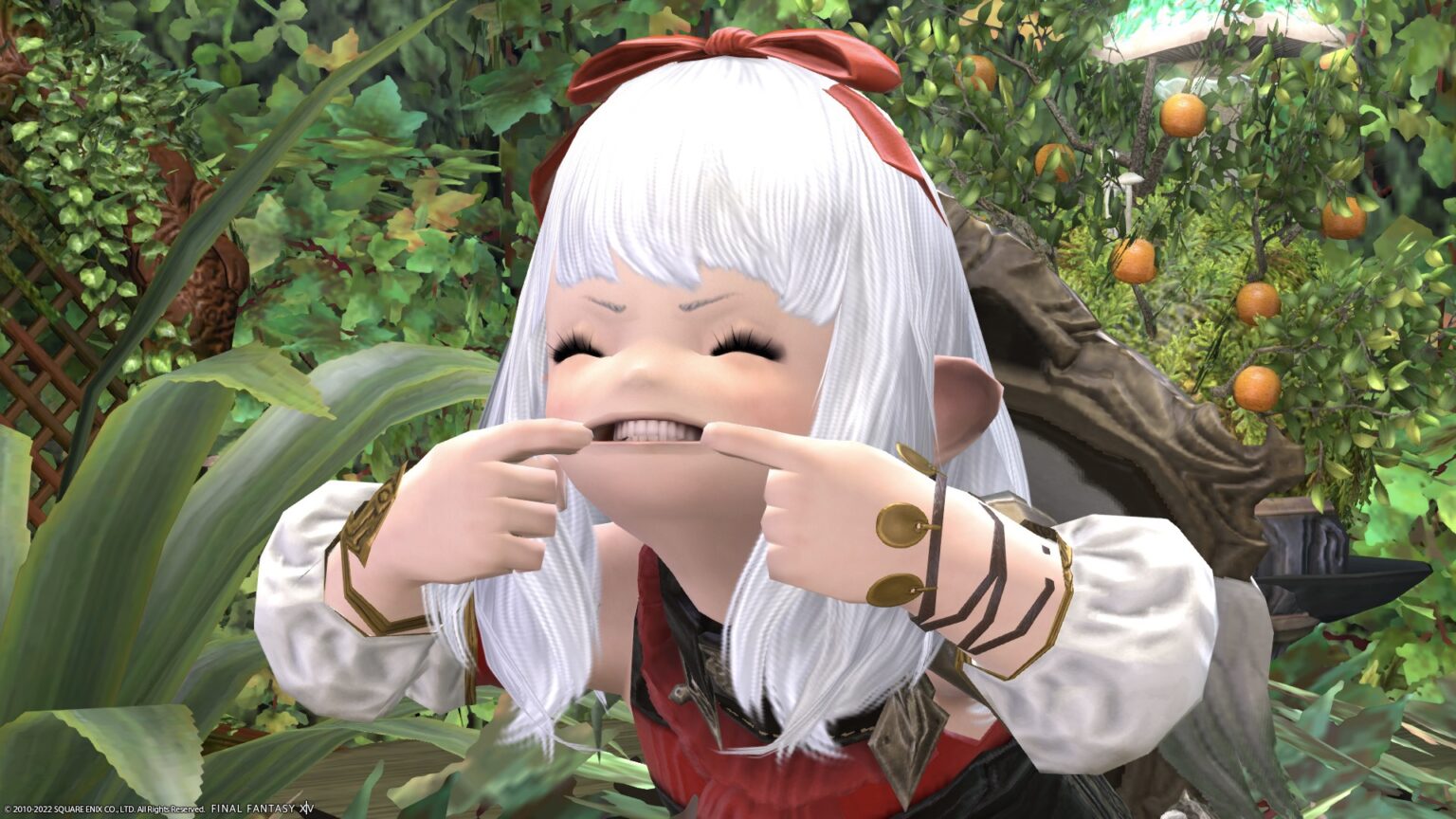 The Island Sanctuary’s “Cat Ear” costume “Felicitous” (Lalafell Ver ...