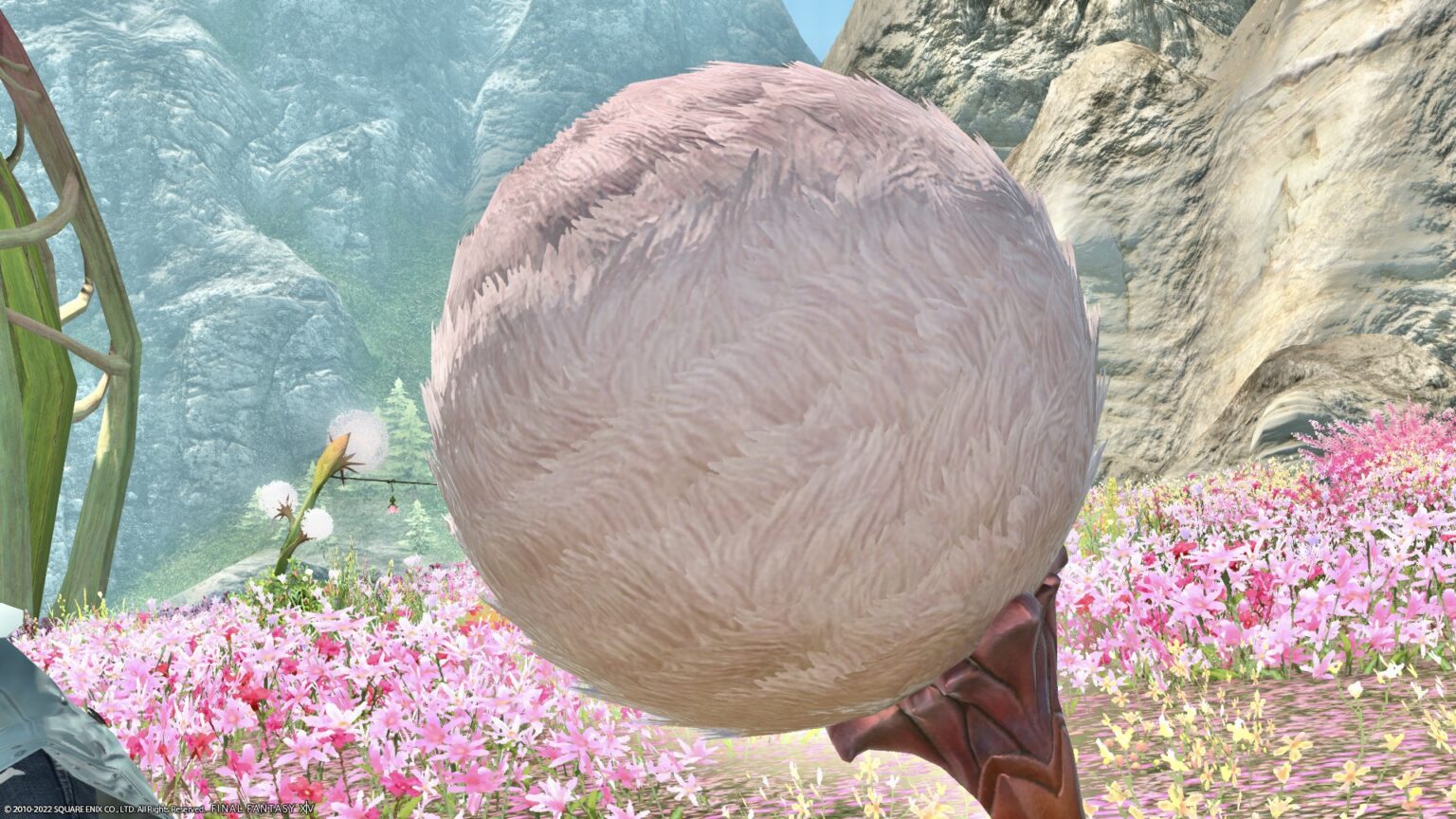 Cute hamster mount “Silkie” (The Sil’dihn Subterrane) | Norirow Note ...