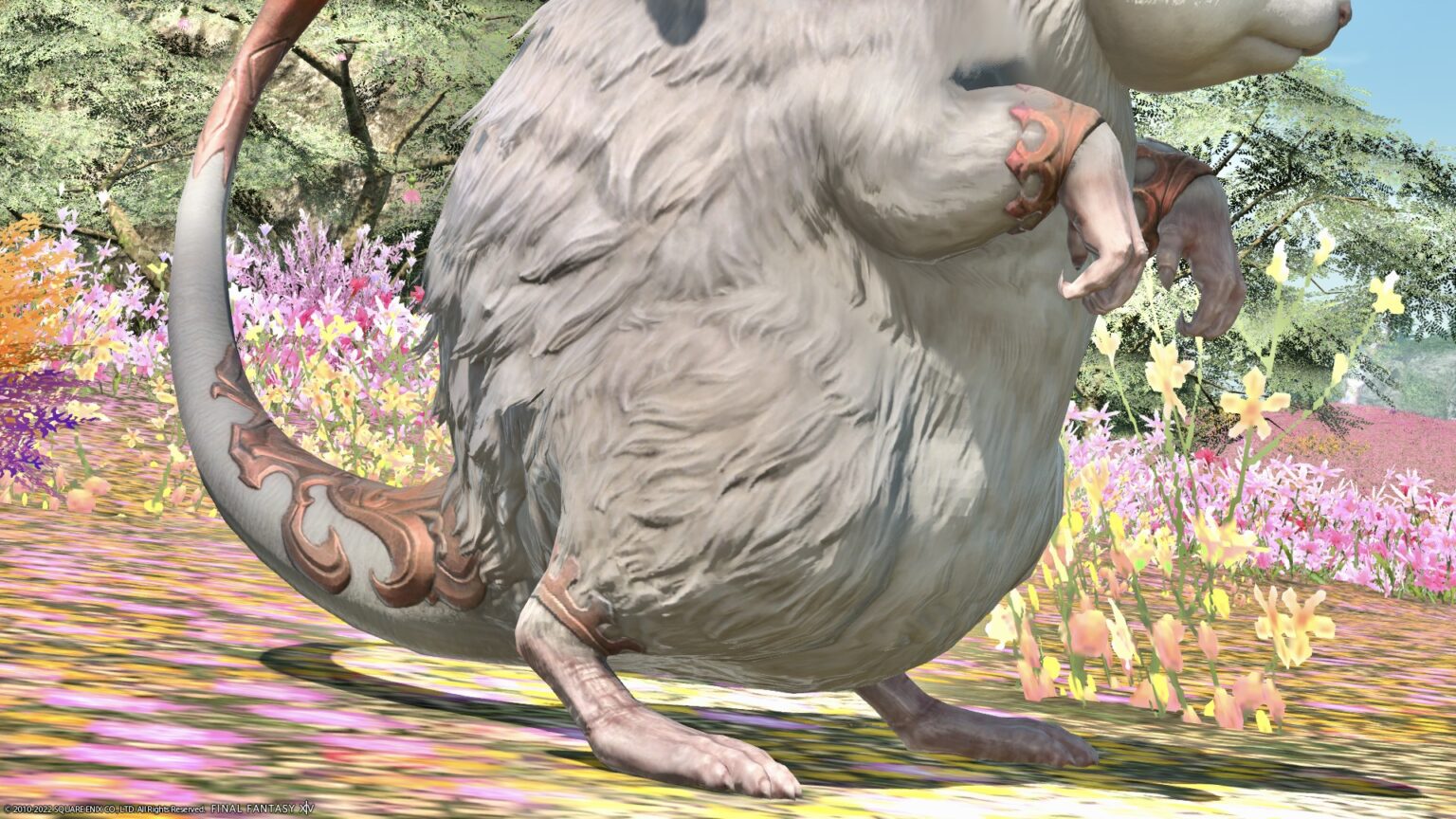 Cute hamster mount “Silkie” (The Sil’dihn Subterrane) | Norirow Note ...