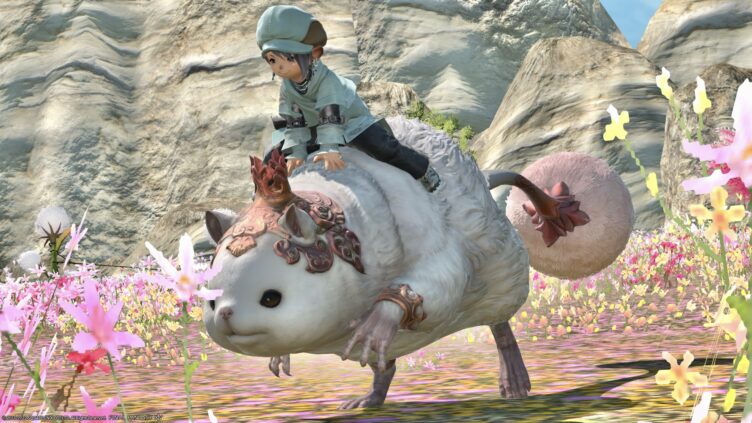 Cute hamster mount “Silkie” (The Sil’dihn Subterrane) | Norirow Note ...