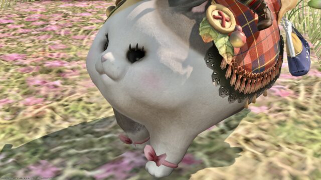 Fat and super cute big cat mount “Fatter Cat” | Norirow Note Eorzean ...