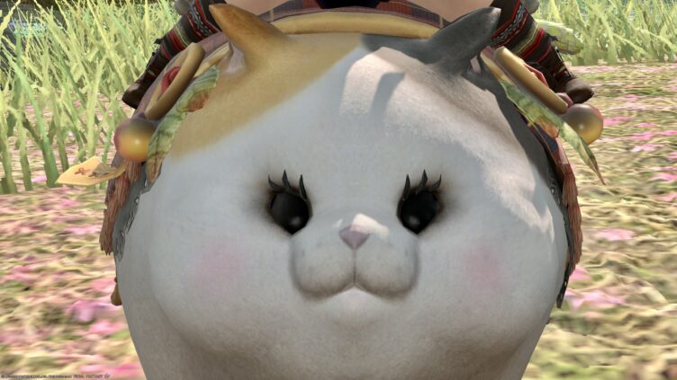 Fat and super cute big cat mount “Fatter Cat” | Norirow Note 〆 FF14