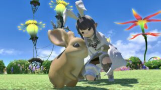 Is the model Peter Rabbit? Baby rabbit’s cute minion “Dwarf Rabbit ...