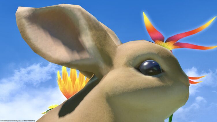 Is the model Peter Rabbit? Baby rabbit’s cute minion “Dwarf Rabbit ...