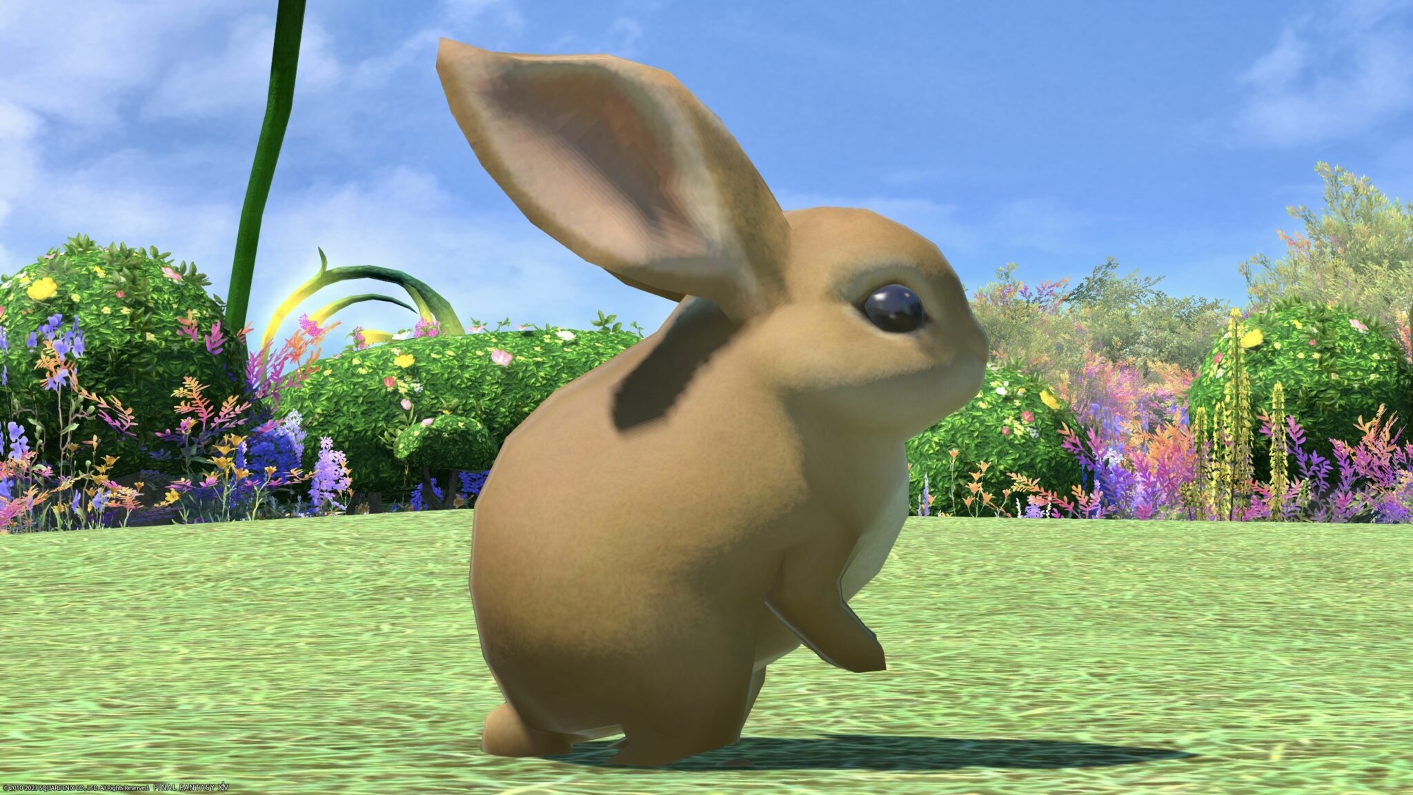 Is the model Peter Rabbit? Baby rabbit’s cute minion “Dwarf Rabbit ...