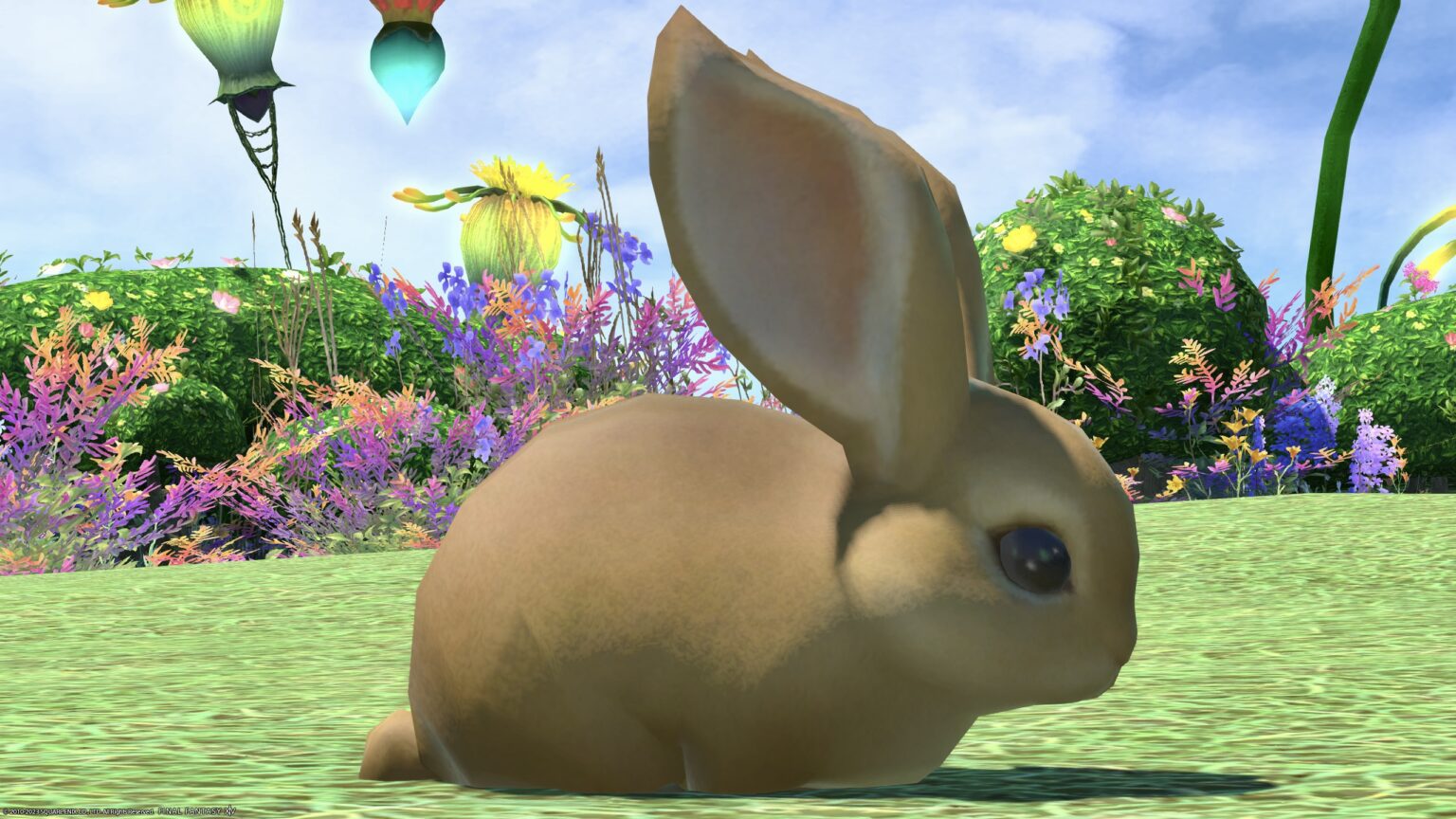 Is the model Peter Rabbit? Baby rabbit’s cute minion “Dwarf Rabbit ...