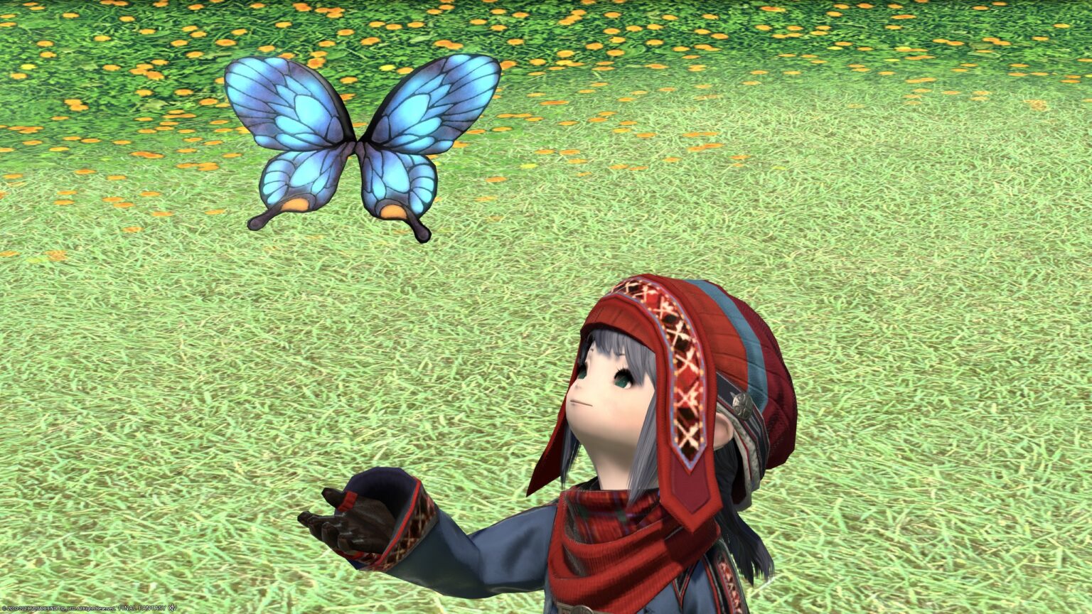 A very cute blue butterfly minion “Morpho” with the name of a goddess ...
