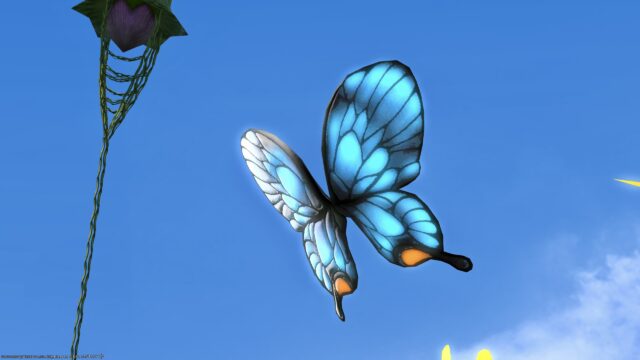 A very cute blue butterfly minion “Morpho” with the name of a goddess ...