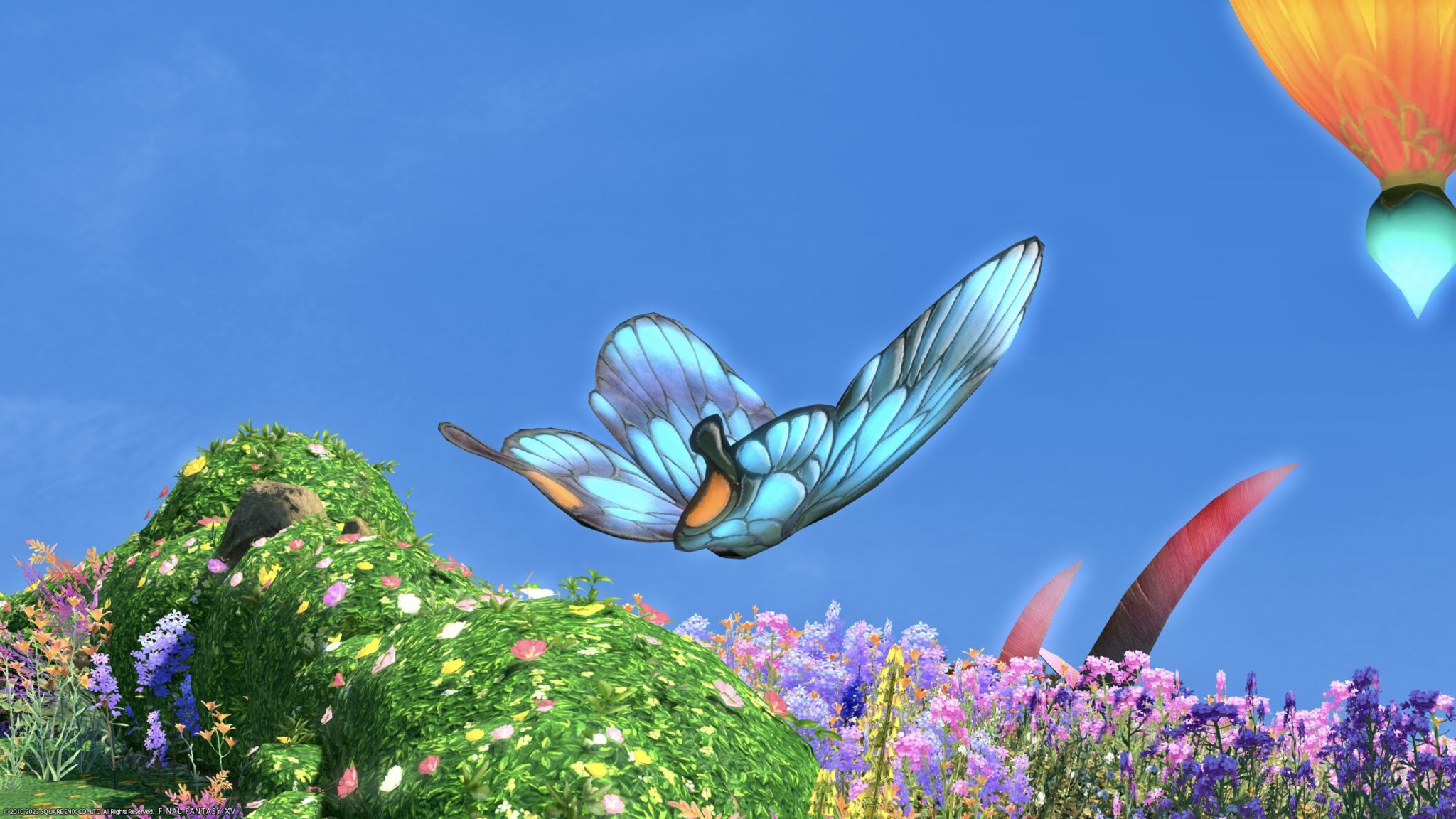 A very cute blue butterfly minion “Morpho” with the name of a goddess ...