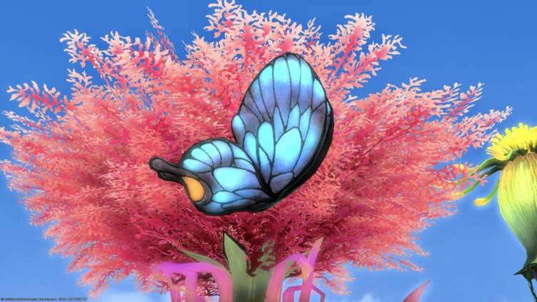 A very cute blue butterfly minion “Morpho” with the name of a goddess ...