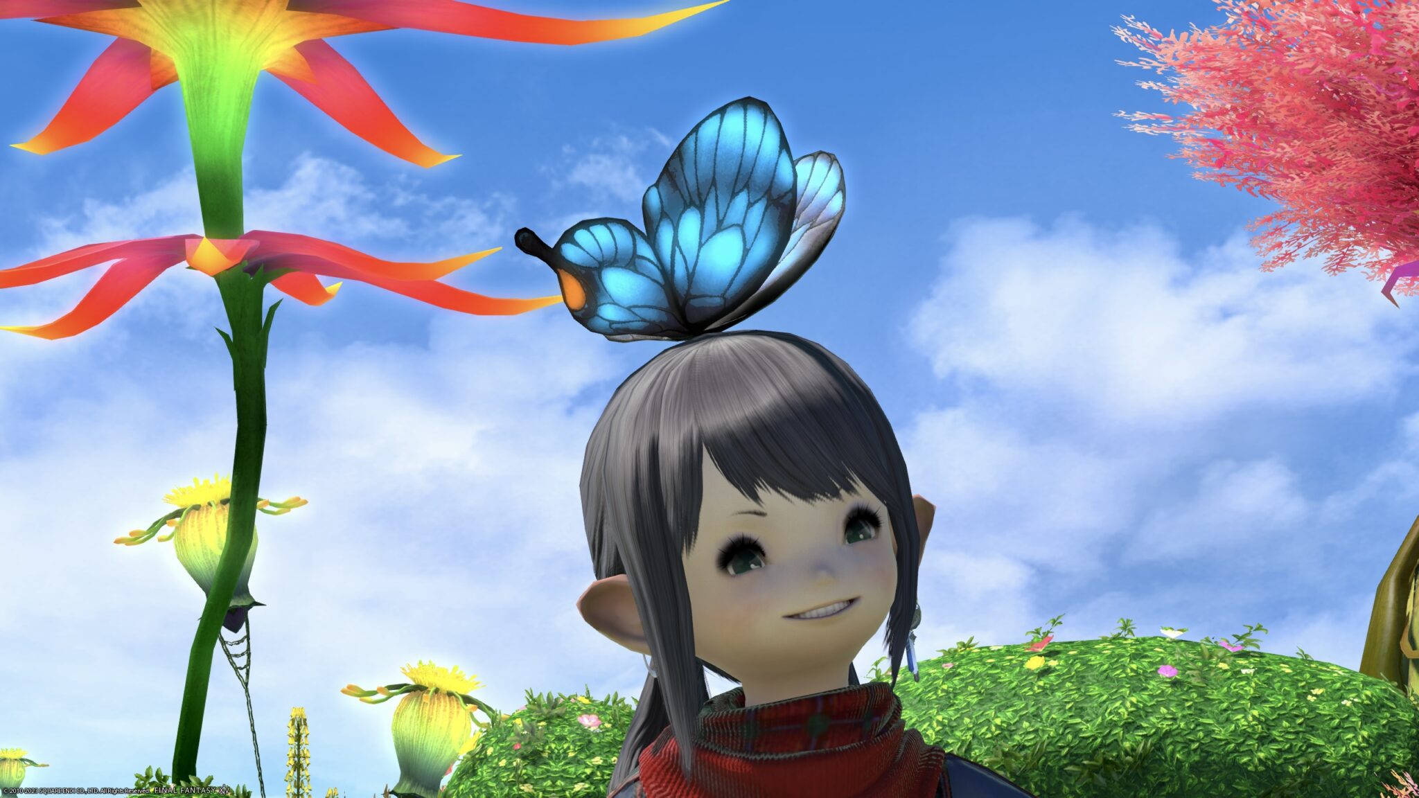 A very cute blue butterfly minion “Morpho” with the name of a goddess ...