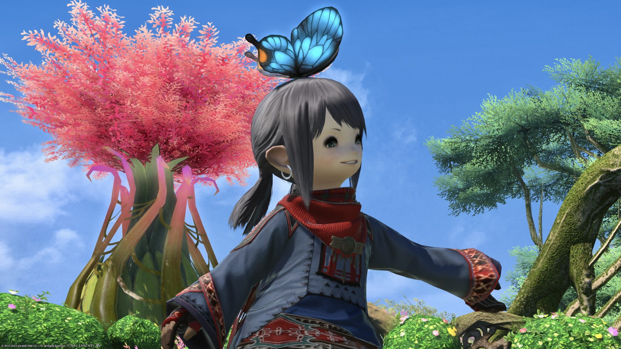 A very cute blue butterfly minion “Morpho” with the name of a goddess ...