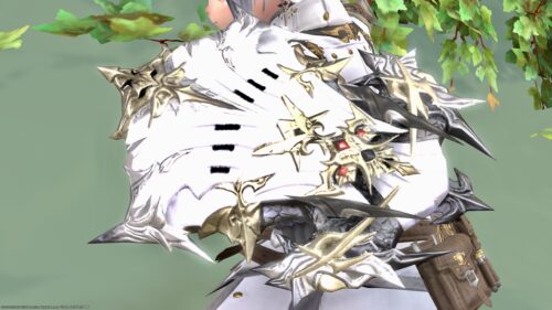 Paladin’s Anima Weapon Stage 3 / Bird Sword and Shell Shield “Almace ...