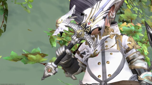 Paladin’s Anima Weapon Stage 3 / Bird Sword and Shell Shield “Almace ...