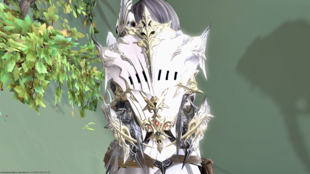 Paladin’s Anima Weapon Stage 3 / Bird Sword and Shell Shield “Almace ...