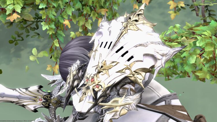 Paladin’s Anima Weapon Stage 3 / Bird Sword and Shell Shield “Almace ...