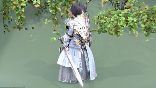 Paladin’s Anima Weapon Stage 4 / Soul Sword and Shield “Hyperconductive ...