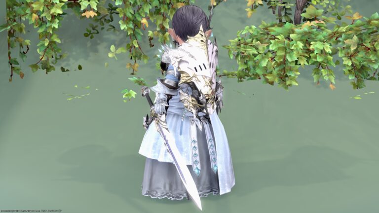 Paladin’s Anima Weapon Stage 4 / Soul Sword and Shield “Hyperconductive ...