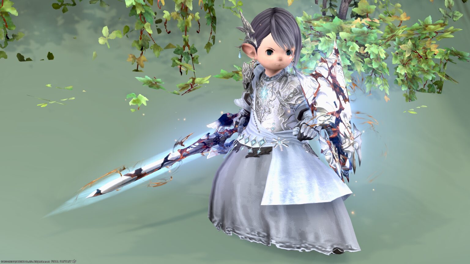 Paladin’s Anima Weapon Stage 4 / Soul Sword and Shield “Hyperconductive ...