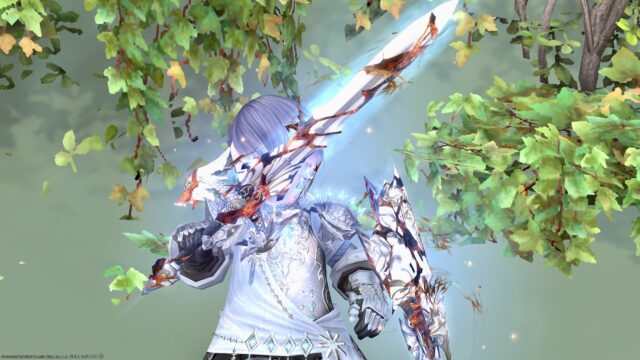 Paladin’s Anima Weapon Stage 4 / Soul Sword and Shield “Hyperconductive ...