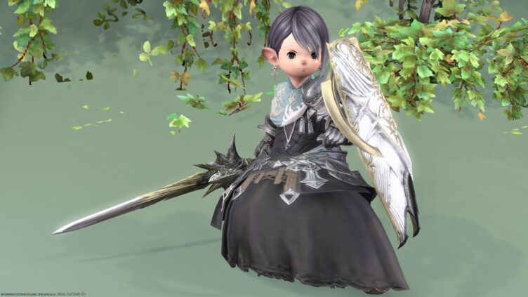 Paladin’s Anima Weapon 5th Stage / Steel Forming Beauty “Sword of the ...