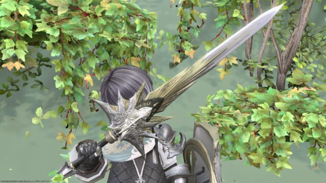 Paladin’s Anima Weapon 5th Stage / Steel Forming Beauty “Sword of the ...