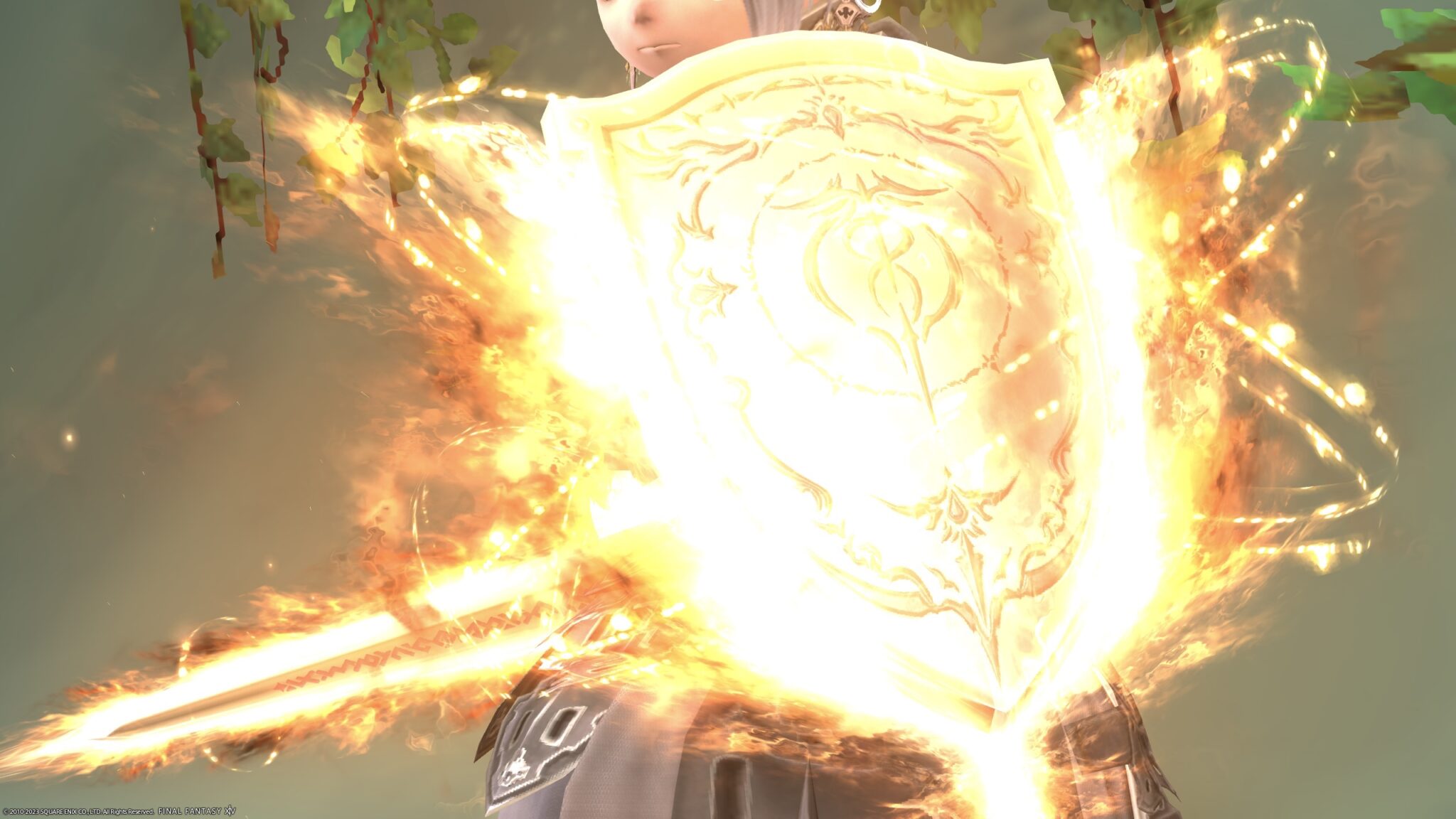 Paladin’s Anima Weapon Final Stage: Crimson Flame Sword Shield “Aettir ...